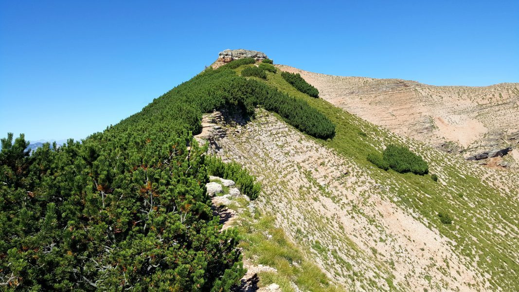 Monte Bondone - Wanderung auf die "Tre Cime del Monte Bondone"