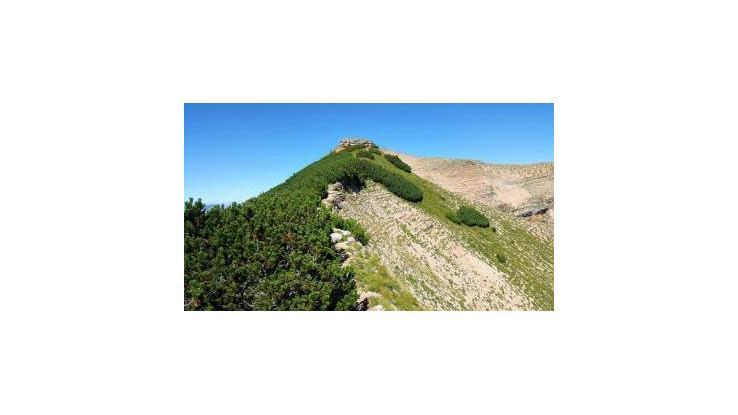 Monte Bondone - Wanderung auf die "Tre Cime del Monte Bondone"